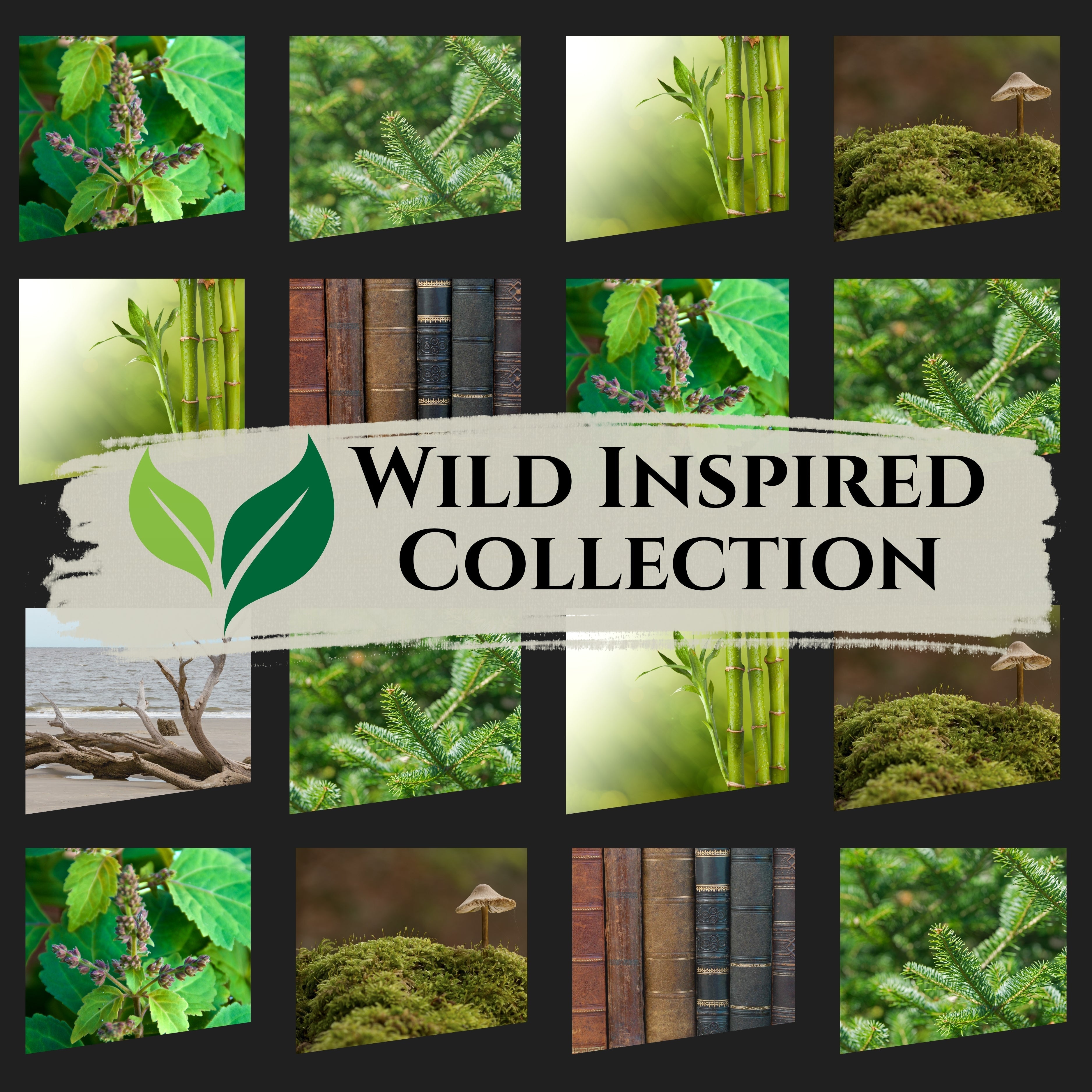 Wild Inspired Collection – Lighthouse Fragrance Co.