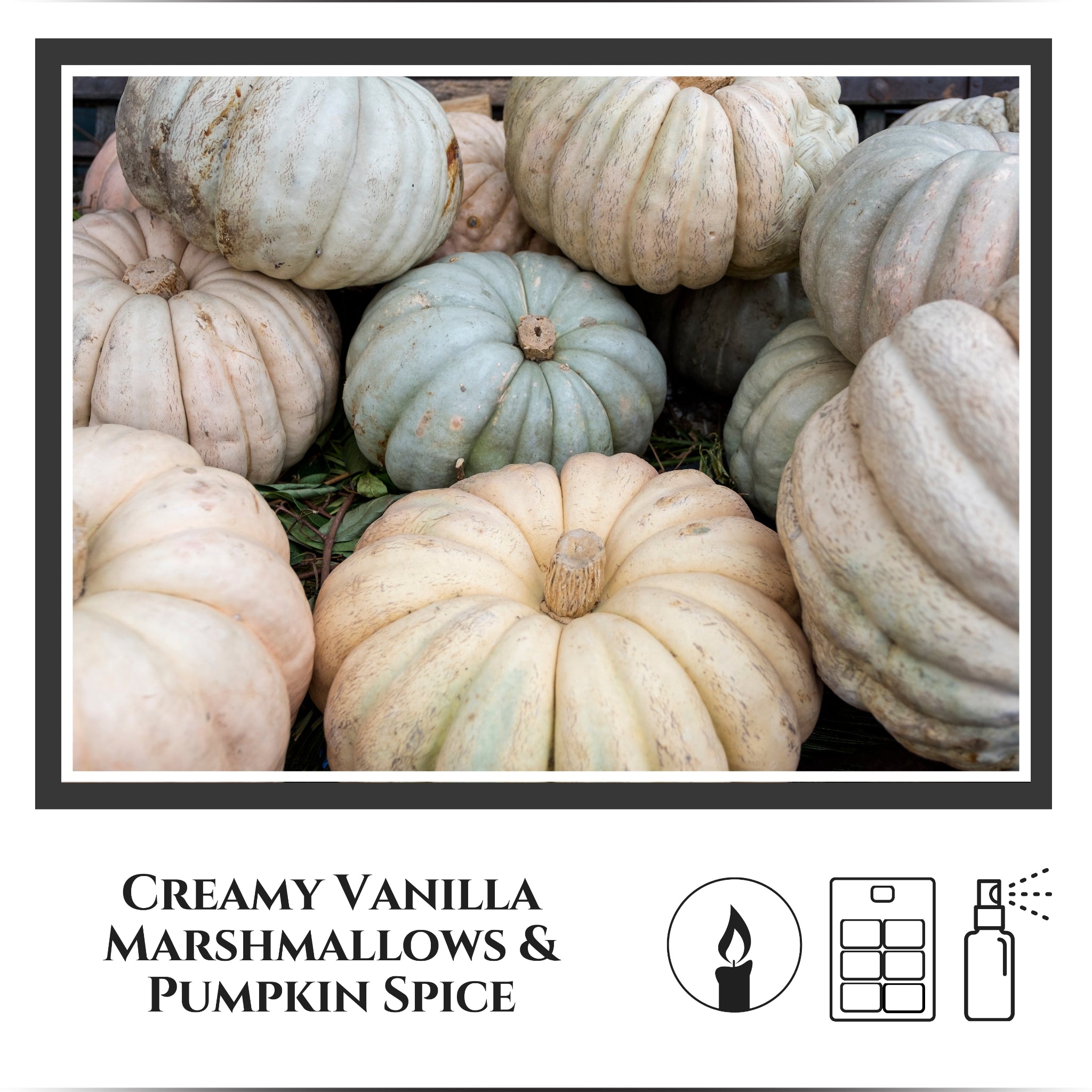 Marshmallow Pumpkin – Lighthouse Fragrance Co.