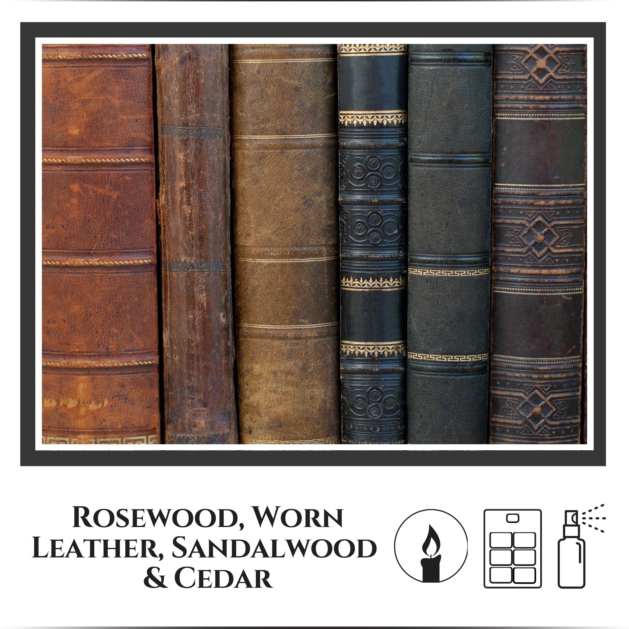 First Edition Library – Lighthouse Fragrance Co.